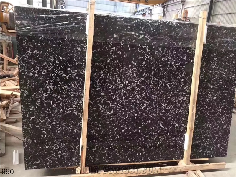 Sea Shell Marble Black Feibei Flower Deep Slab Wall Tile from China ...