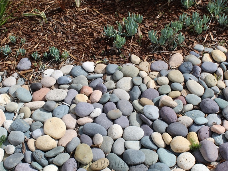 Mixed Colors Mexican Beach Pebbles 1"- 2" from United States ...