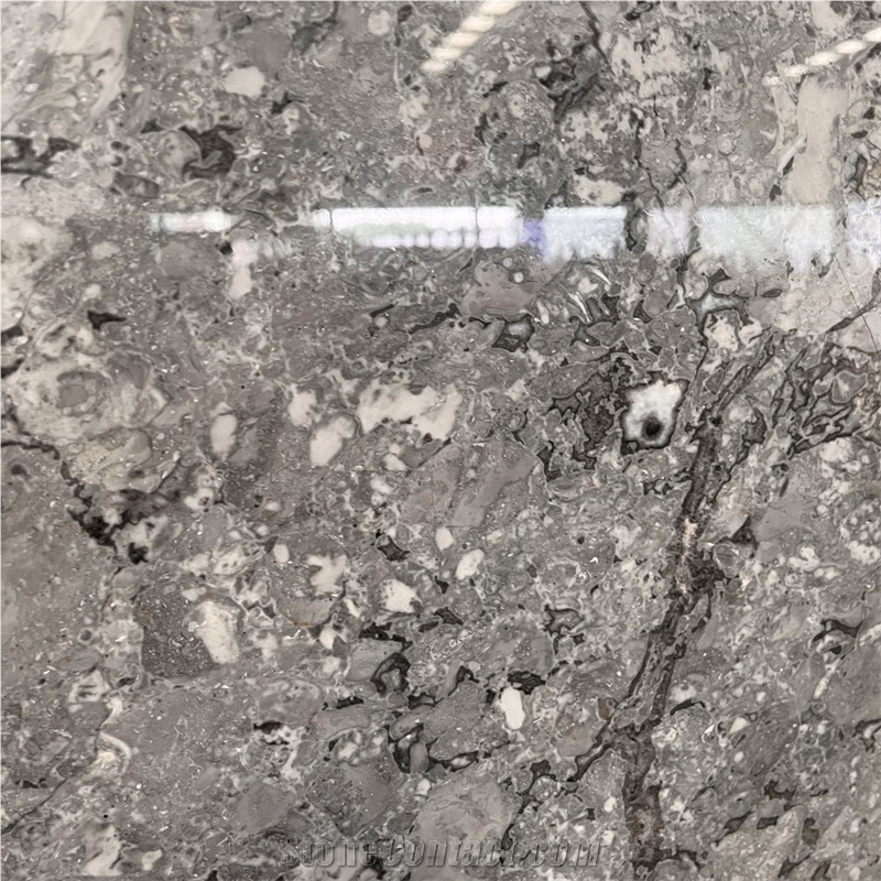 Best Selling Seashell Grey Marble Slabs For Wall And Floor from China ...