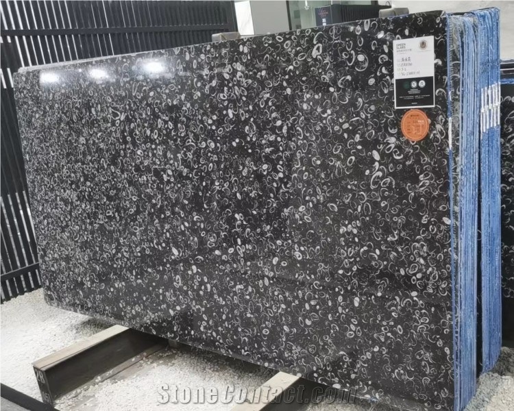 Natural Sea Shell Marble Slabs from China - StoneContact.com