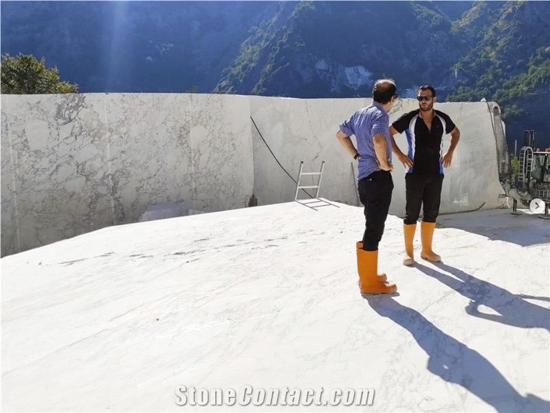 Calacatta Viola in Quarries Marble in , Calacatta Viola in Quarries ...