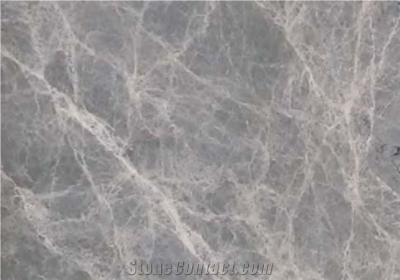 CMF 011 Silver Grey Marble Slabs from China - StoneContact.com
