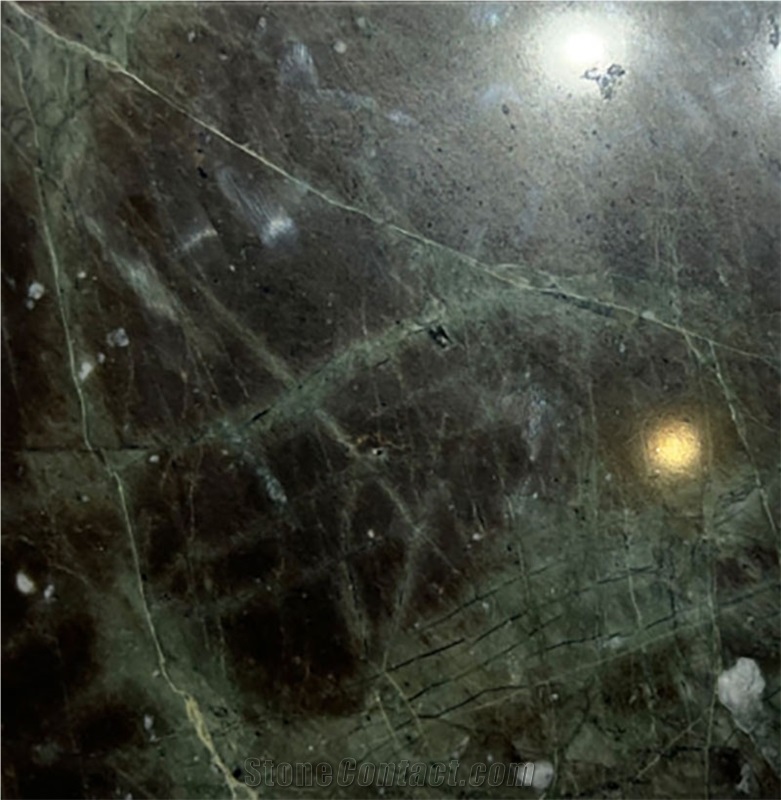 Green Pantanal Quartzite Slabs from China - StoneContact.com