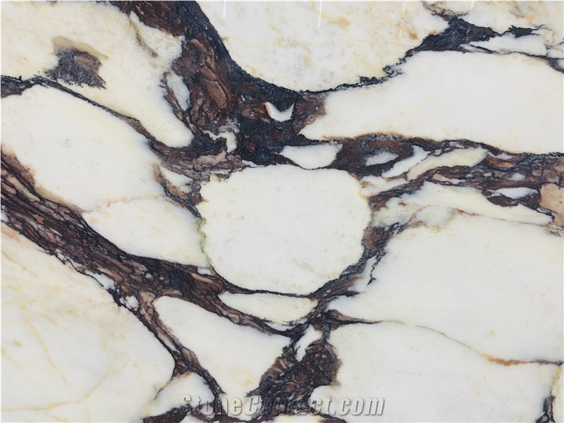 Calacatta Violet Marble Polished Slabs Tiles from China - StoneContact.com