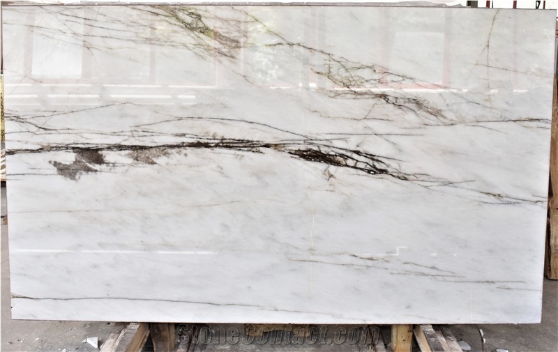 Dione Spider Marble Slabs - StoneContact.com