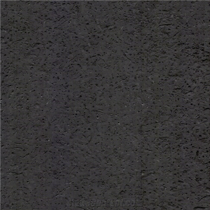 French Gray Limestone - Black Limestone - StoneContact.com