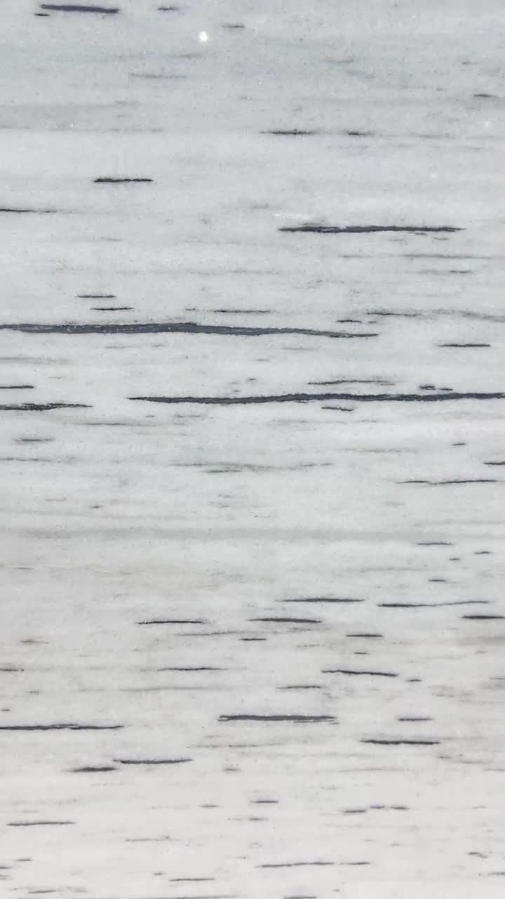 White Galactic Marble Stone Slabs Tiles from China - StoneContact.com