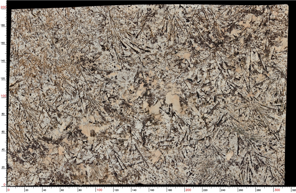 Delicatus Supreme Granite Slabs