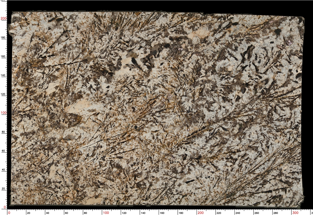 Delicatus Supreme Granite Slabs