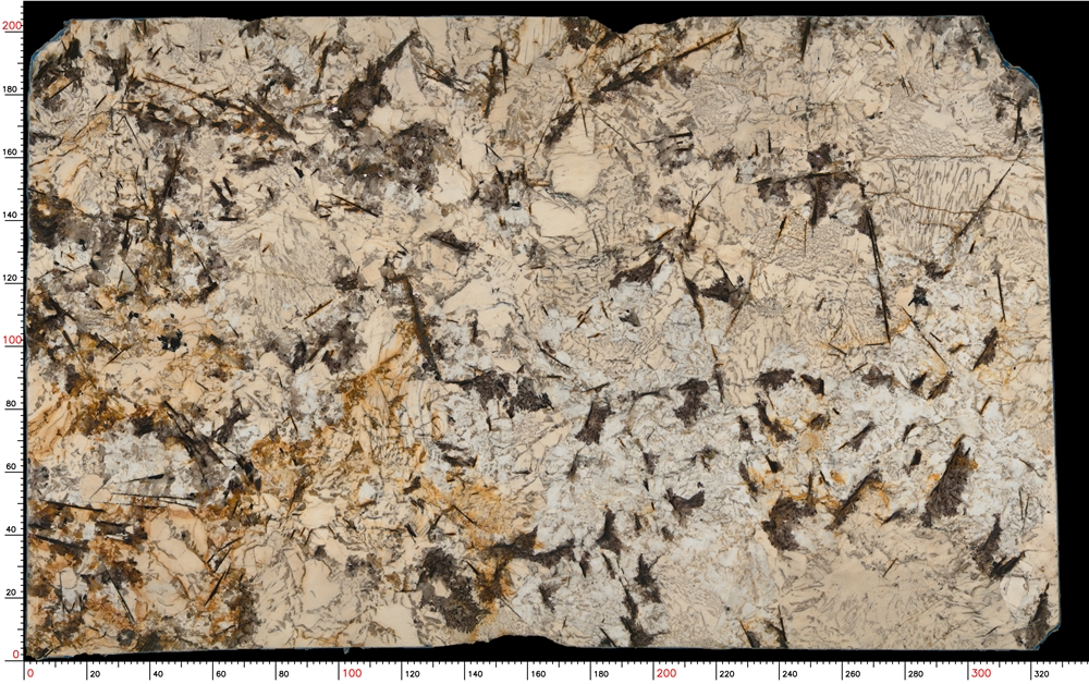 Delicatus White Granite Slabs