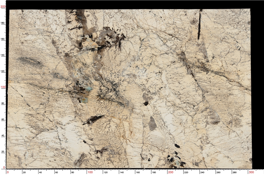 Pandora Granite Slabs