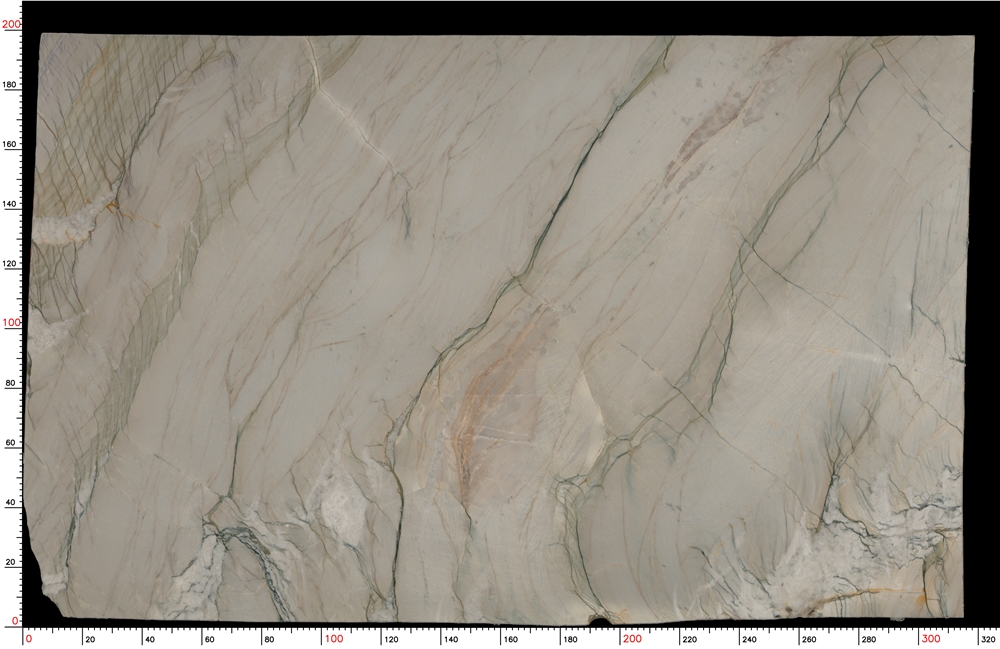 Picasso Silver Quartzite Slabs