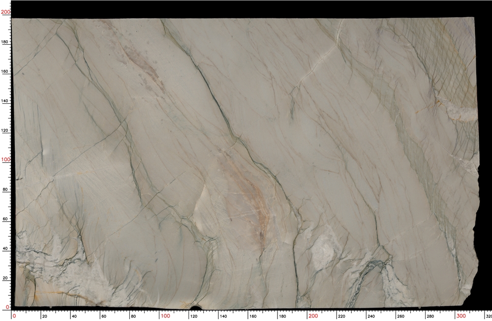 Picasso Silver Quartzite Slabs