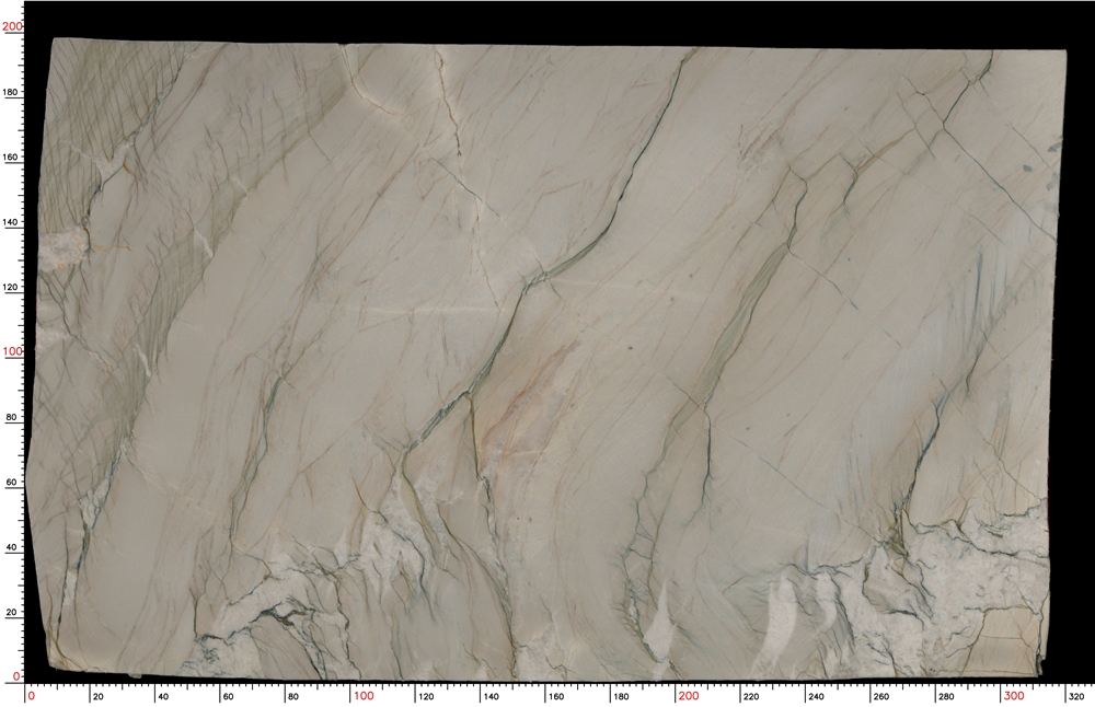 Picasso Silver Quartzite Slabs