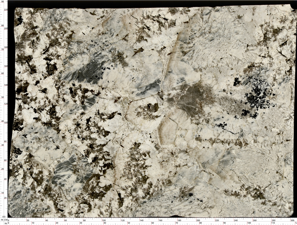 Silver Fox Granite Slabs