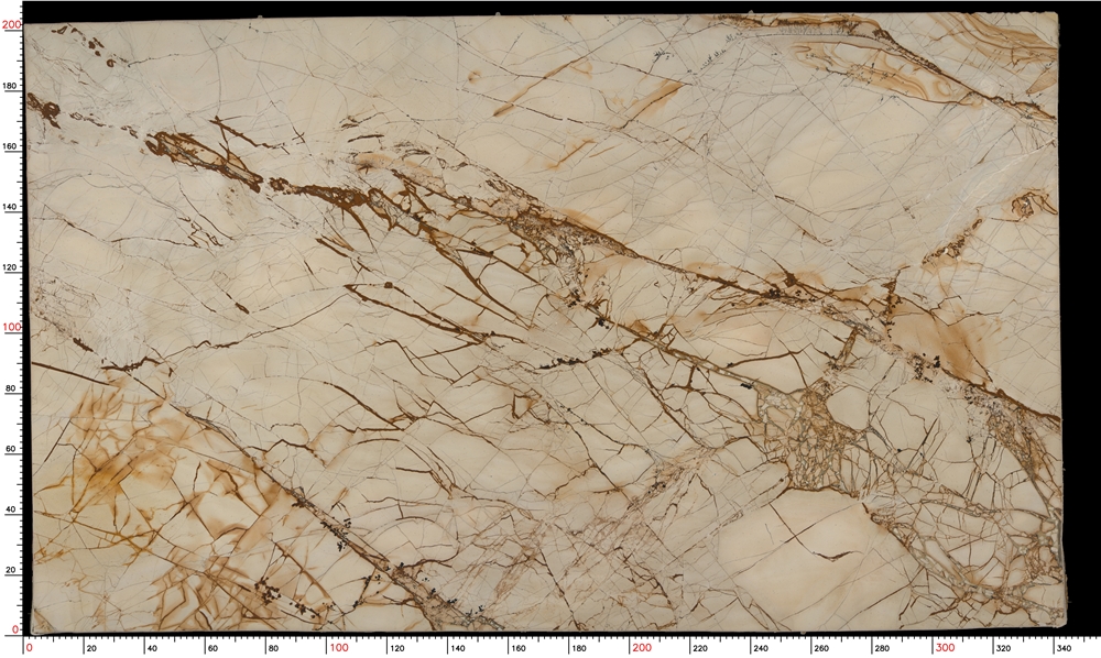 White Roma Quartzite Slabs : 205.669㎡ in stock
