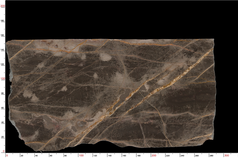 Bronze Fantasy Marble Slabs