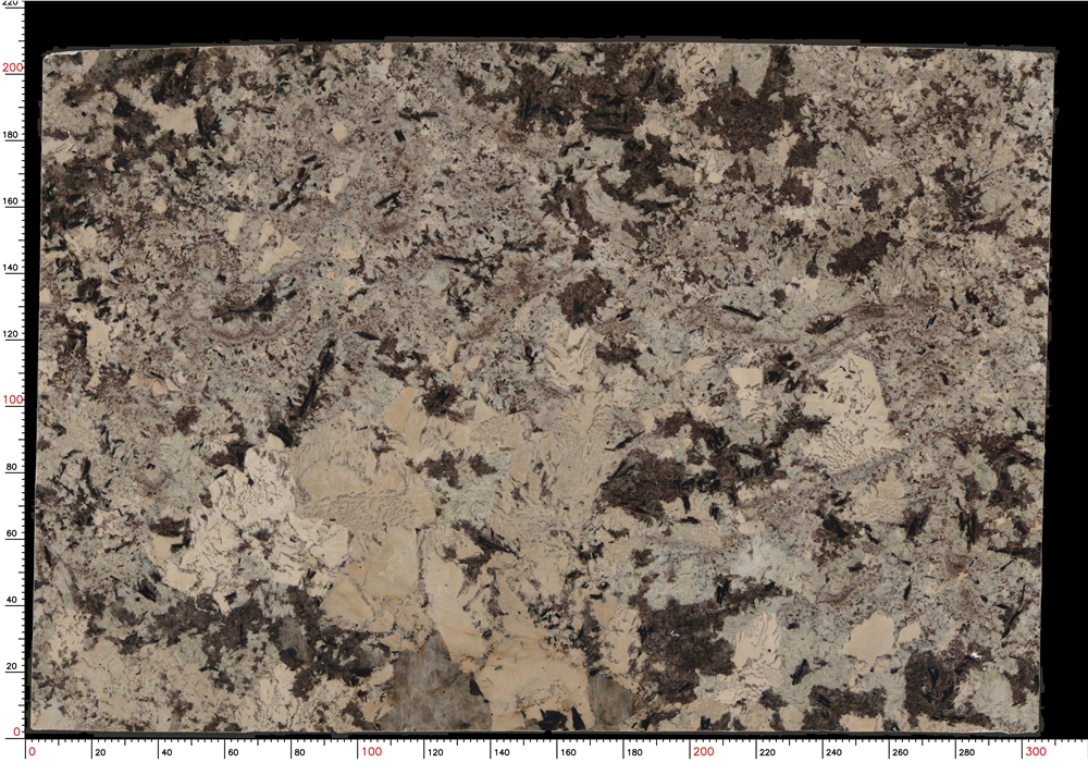 Splendor White Granite Slabs