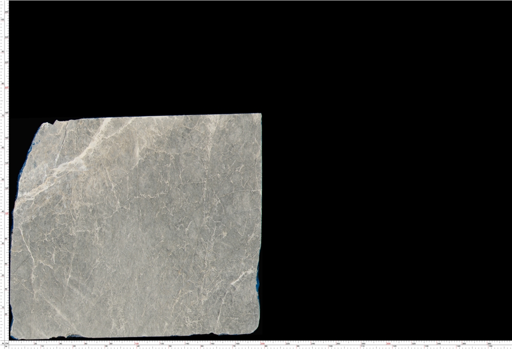 Paris Grey Marble Slabs