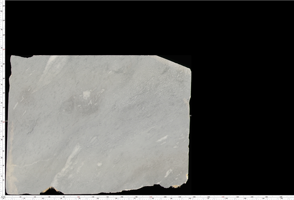 Twilight Grey Marble Slabs