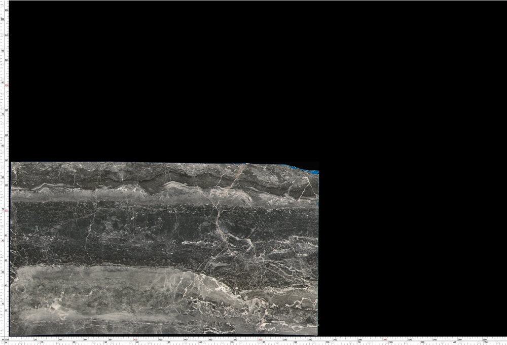Silver Fantasy Marble Slabs