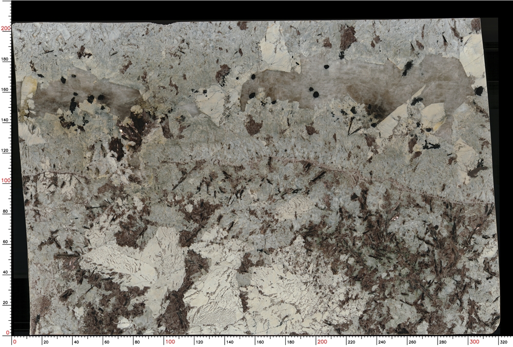 Splendor White Granite Slabs