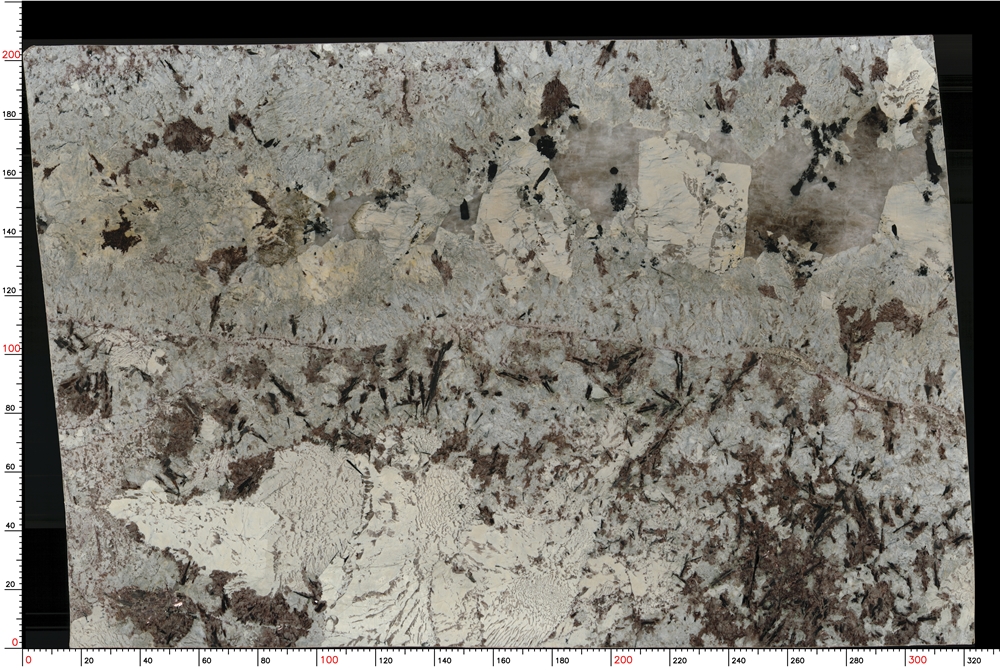 Splendor White Granite Slabs