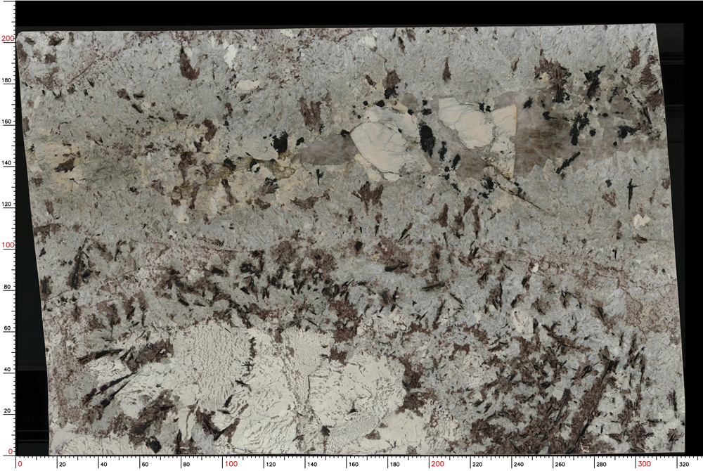 Splendor White Granite Slabs