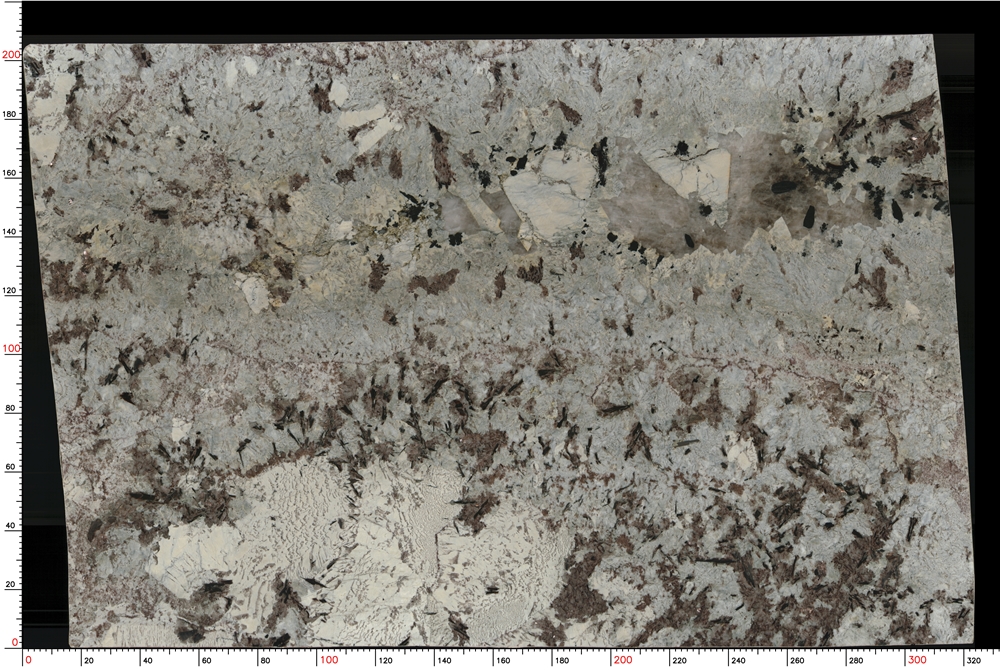 Splendor White Granite Slabs