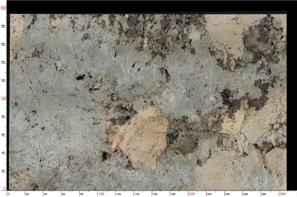 Splendor White Granite Slabs