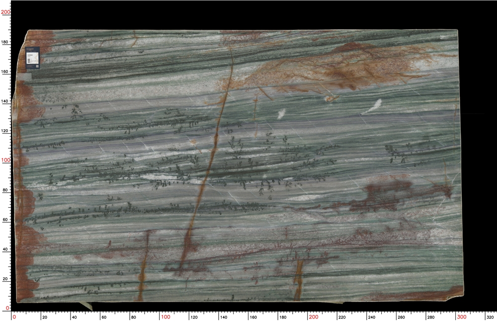 Botanic Bordeaux Quartzite Slabs