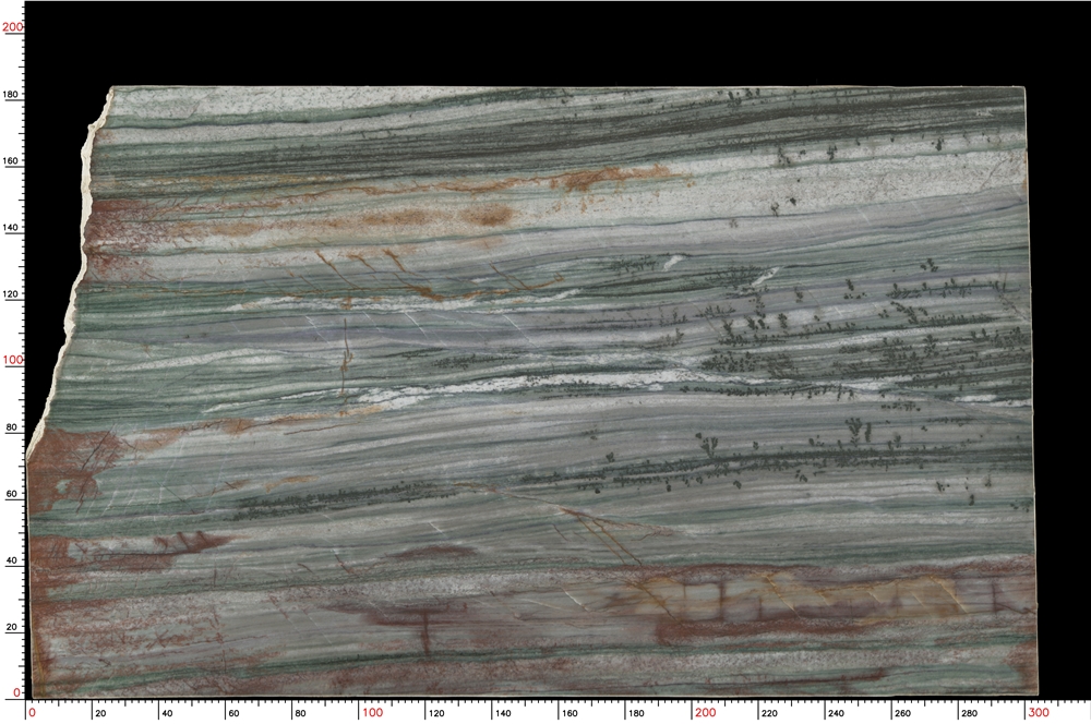 Botanic Bordeaux Quartzite Slabs