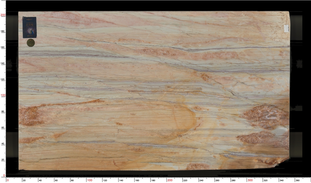 Calypso Gold Quartzite Slabs : 55.825㎡ in stock