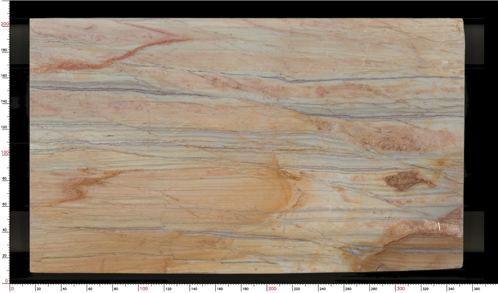 Calypso Gold Quartzite Slabs : 55.825㎡ in stock