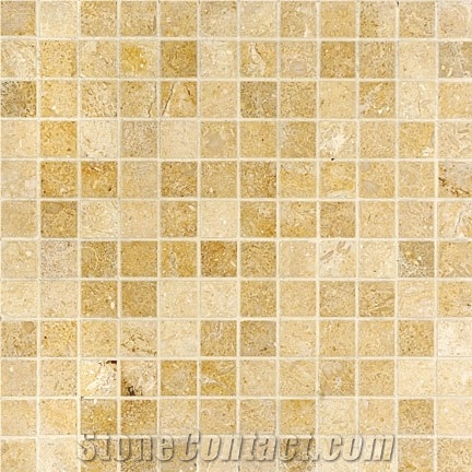 Seashell Limestone 1x1 Mosaic from United States - StoneContact.com