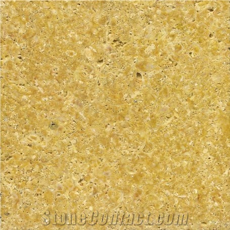 Amarillo Fosil Limestone Slabs & Tiles, Spain Yellow Limestone from ...