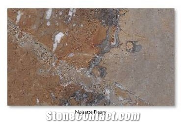 Noisette Fleury Limestone Slabs & Tiles from Italy - StoneContact.com