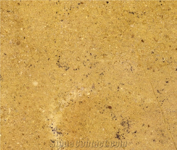 Arish Gold Limestone Slabs & Tiles, Egypt Yellow Limestone from Egypt ...