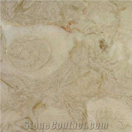 Lioz Claro from Portugal - StoneContact.com