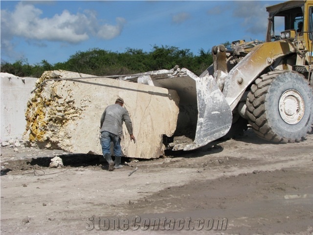 Coralina Blocks, Dominican Republic Beige Limestone from Dominican ...