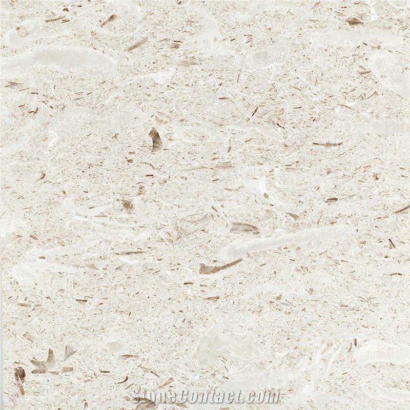 Myra Beige Limestone Slabs, Turkey White Limestone - StoneContact.com
