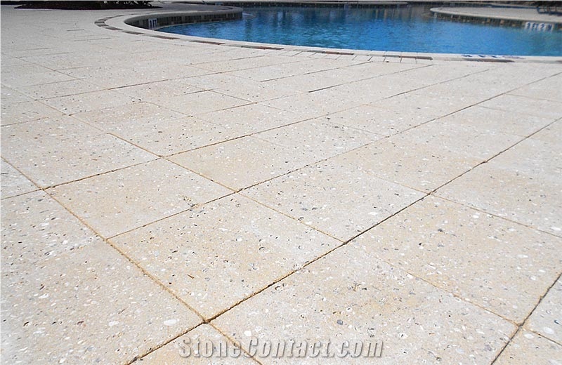 Coquina Shellstone (Conchuela Shellstone) Swimming Pool Paver from ...