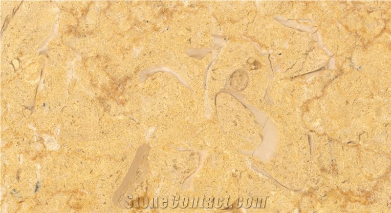 Perlato Cenia from Egypt - StoneContact.com