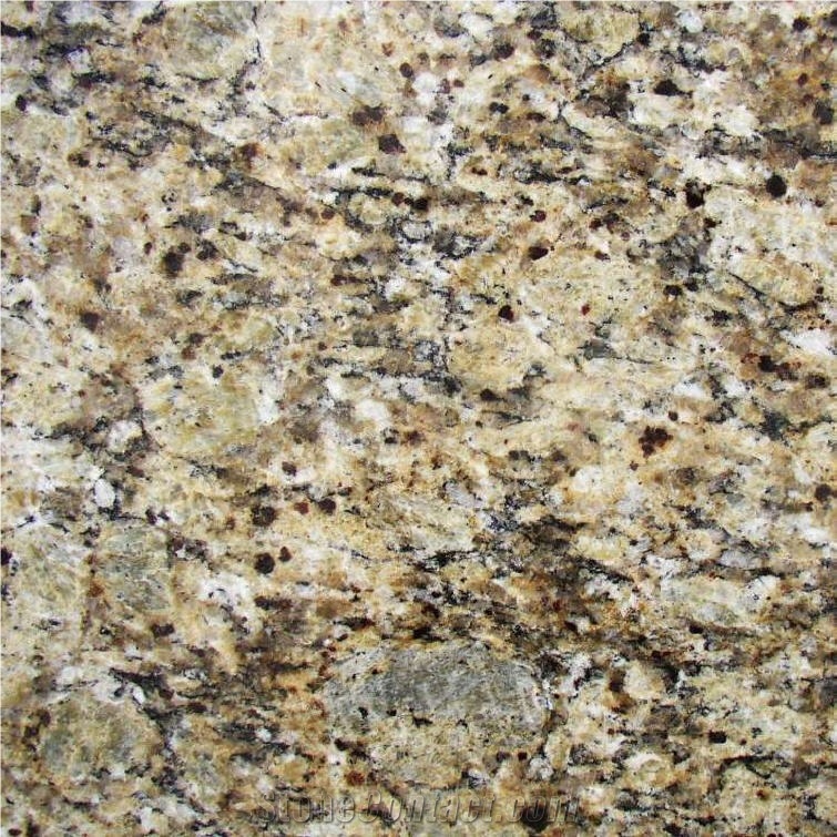 Venetian Gold Granite Tiles & Slab from China - StoneContact.com