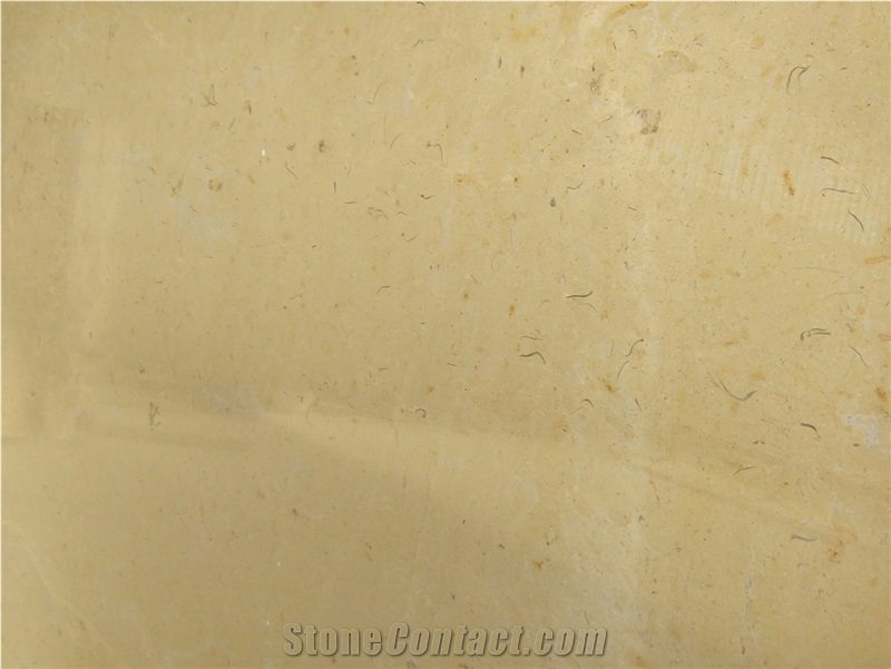 Polished Cenia Limestone Slabs & Tiles, Spain Beige Limestone from ...
