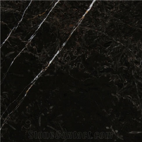 Black Magic Marble Slabs & Tiles, Turkey Black Marble from China ...