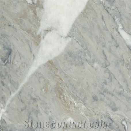 Caesar Grey Marble Slabs & Tiles, China Grey Marble from China ...