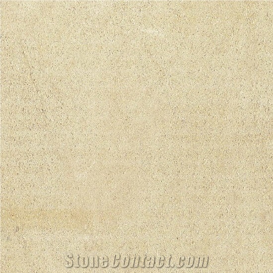 Champagne French Limestone Slabs & Tiles, France Beige Limestone from ...